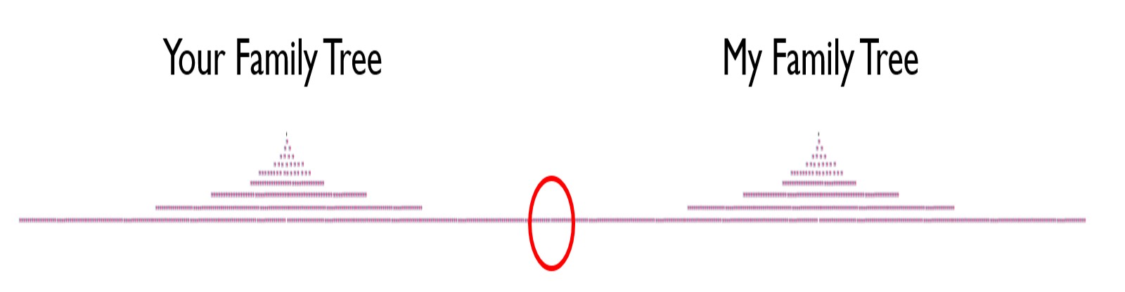 Our Overlapping Family Trees – Patrick F. Clarkin, Ph.D.